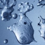 Liquid Mind Meditation | Meditation For Women