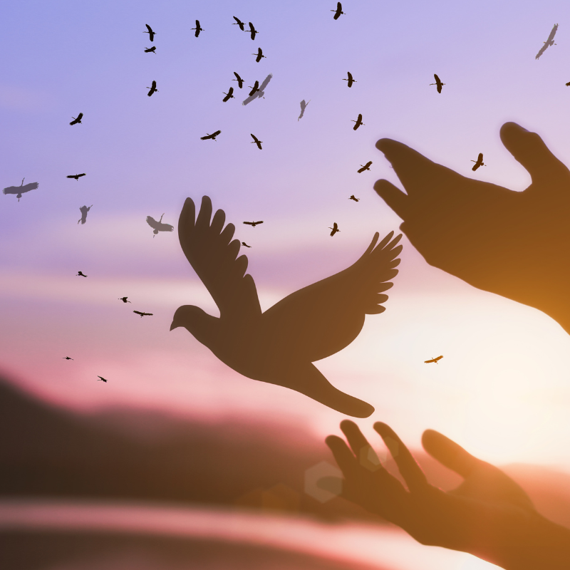 Prayers of Hope (Hope) - Women's Meditation Network