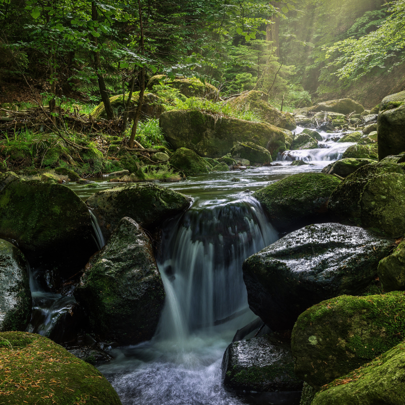 Waterfall Dances (Naturescapes) - Women's Meditation Network