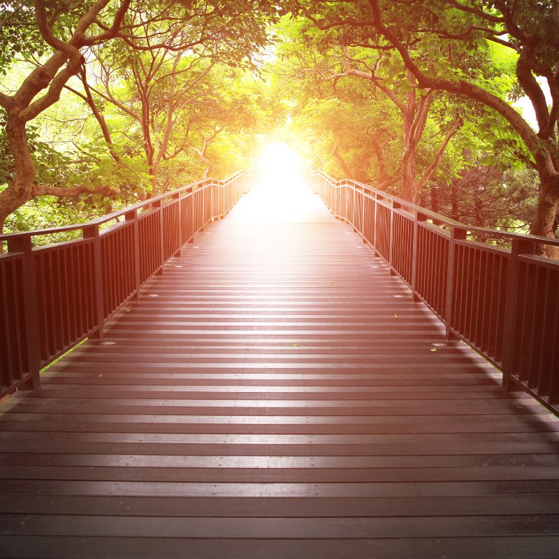 Let This Be Your Sacred Path (Breast Cancer Awareness) - Women's ...